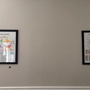 TCM Pulse Chart Poster, Traditional Chinese Medicine Pulse Reading Art ...