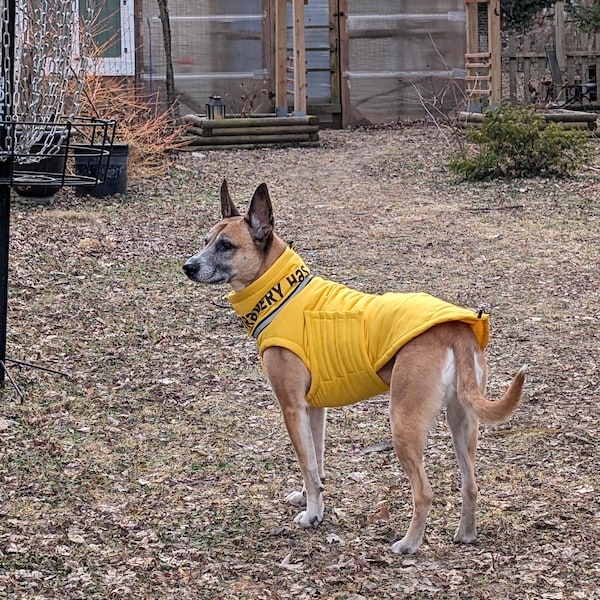 Waterproof & Windbreaker Dog Jacket - Cozy Comfortable Overalls and ...