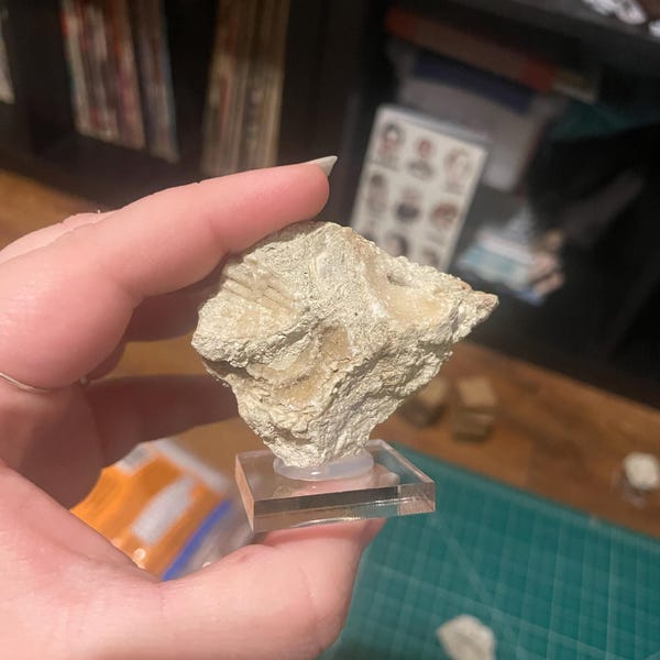 Native Silver, Bornite, Etc... Kerr Lake Mine, Cobalt, Ontario, Canada ...