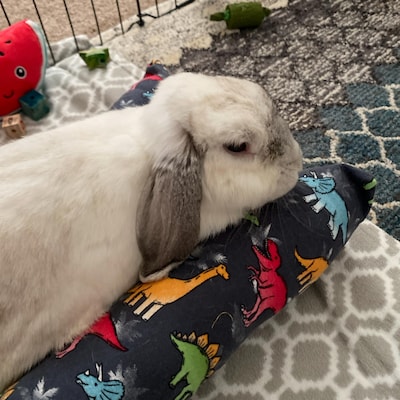 Bunny Snug Bed - Etsy