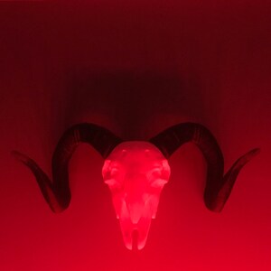 Ram Skull Wall Art 3D Printed Home Decor Wall Mount - Etsy
