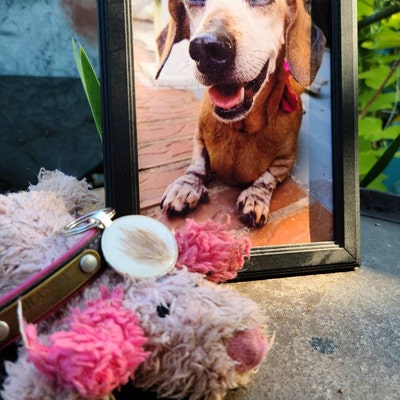 Hair Keychain, Pet Fur Keychain, Pet Fur Memorial, Pet Memorial ...