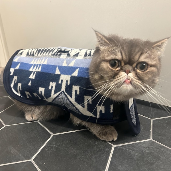 Red & Black Pendleton Wool Dog Coat - Featuring Exclusive D-ring ...