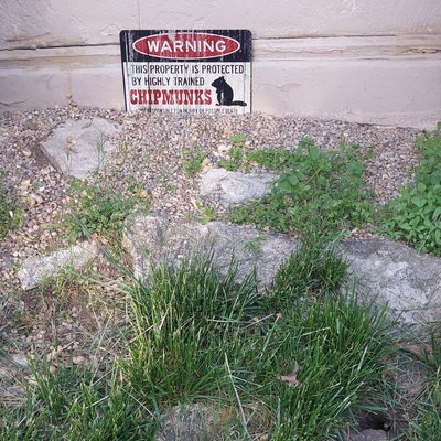 Honey Bee Trail Metal Sign Apiary Sign Honey Bee Sign Funny Bee Sign ...