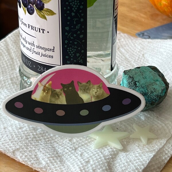 Alien Spaceship Beams up Black Cat - Space Cats - Etsy