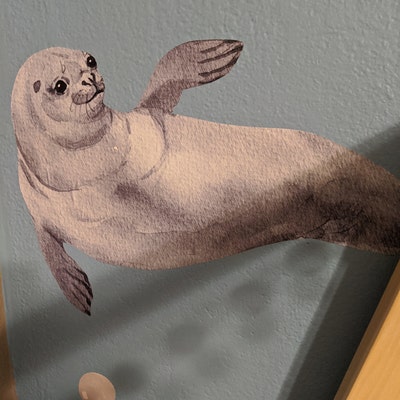 Watercolor Hawaiian Monk Seal Wall Decal Ocean Sea Life Removable ...