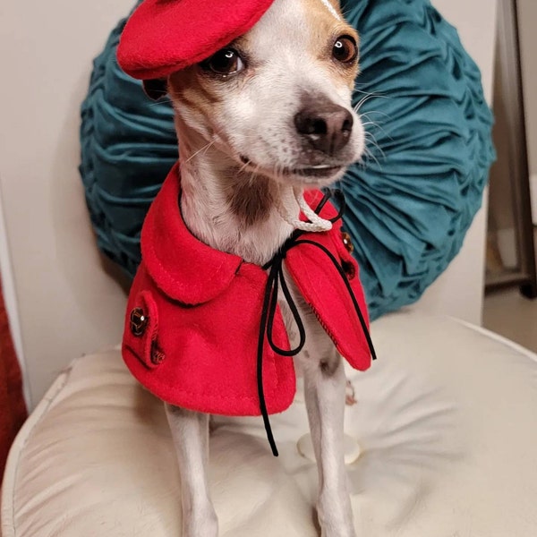 Dogs Beret, Cape Set! HANDMADE Dog Hats, Dog Caps, Baseball Hat ...
