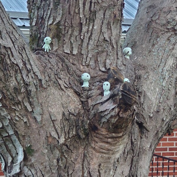 Hestu's Gift - Super Shining - Korok Seed - Golden Poop - BOTW- 3D ...