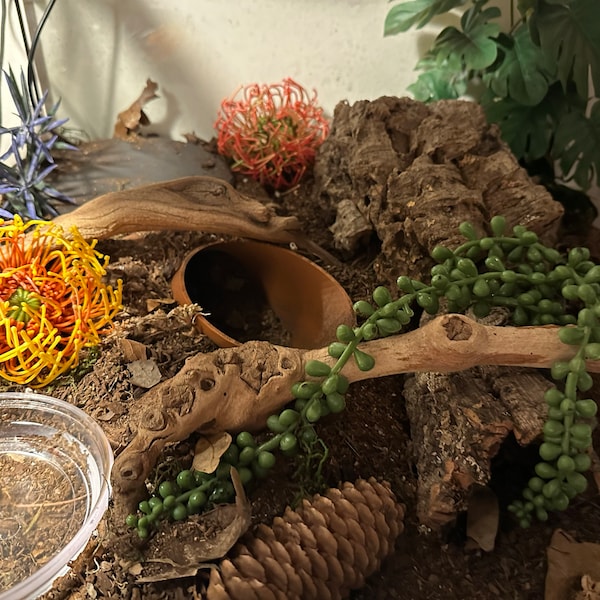 Burrow Buddy Snake Hide MINI - Etsy