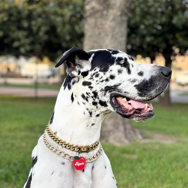 Artist Sign, Self Adhesive, Acrylic Plaque, Personalized Gallery Wall ...