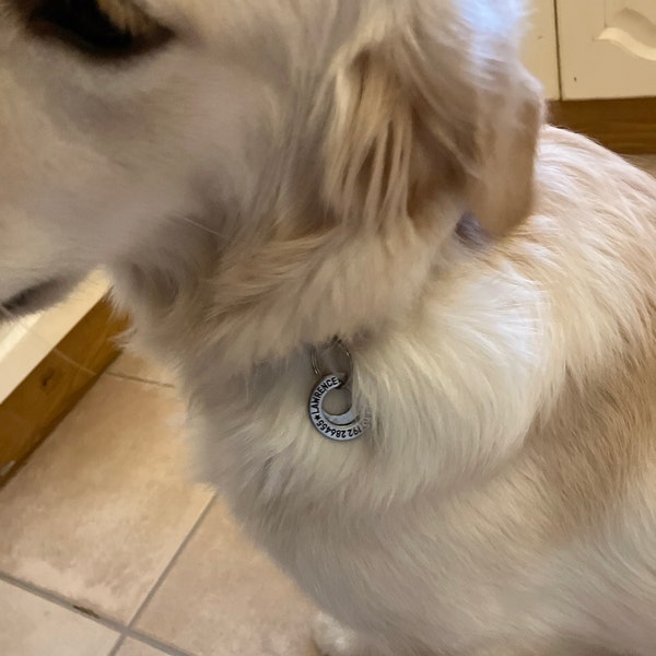 Funky Design Pet Dog ID Disc Tag. Stainless Steel Washer Style ...