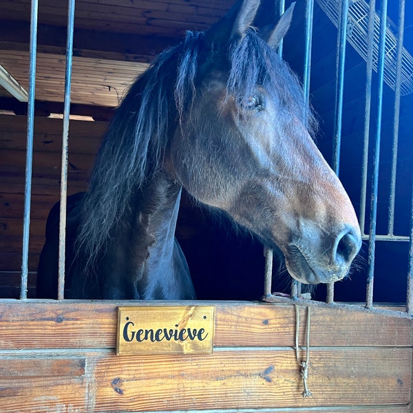 Horse Stall Sign, Stable Name Plate, Barn Name Sign, Horse Stall Name ...
