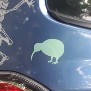 RX Decal Rx Vinyl Decal RX Sticker Medicine Decal | Etsy