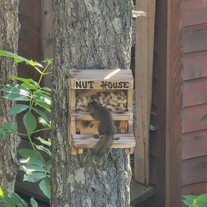 The Original Squirrel Nut House Feeder - Etsy