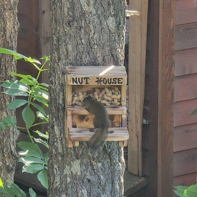The Original Squirrel Nut House Feeder - Etsy