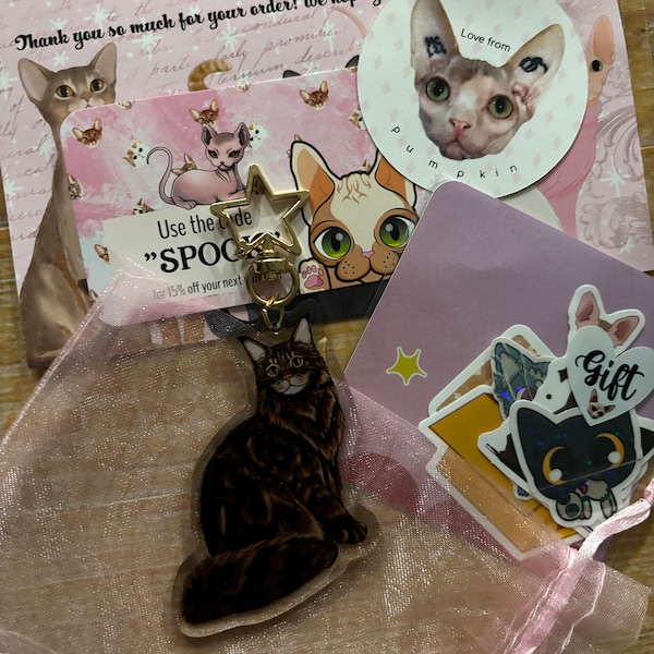 Alien Kitty Glitter Acrylic Keychain Spaceship - Etsy