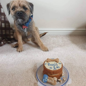 Dog Birthday Boy Cake and Pupcakes - Etsy UK