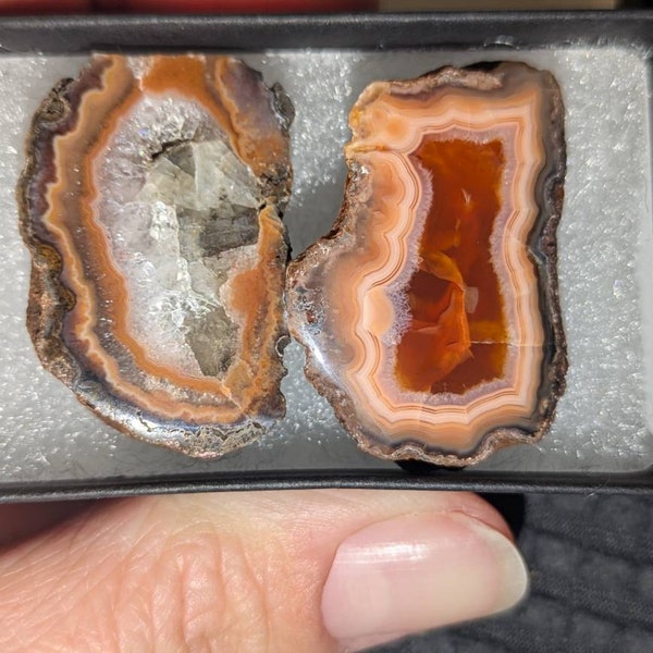 I LICK ROCKS Sticker Funny Rock Stickers Agate Dad - Etsy