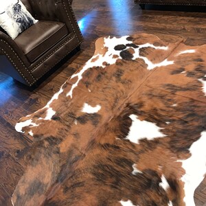 Springbok Hide Natural XXL African SPRINGBOK Skin Approx. | Etsy