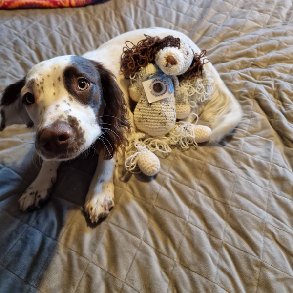 Charlie English Springer Spaniel Amigurumi Handmade Soft Crochet Toy - Etsy