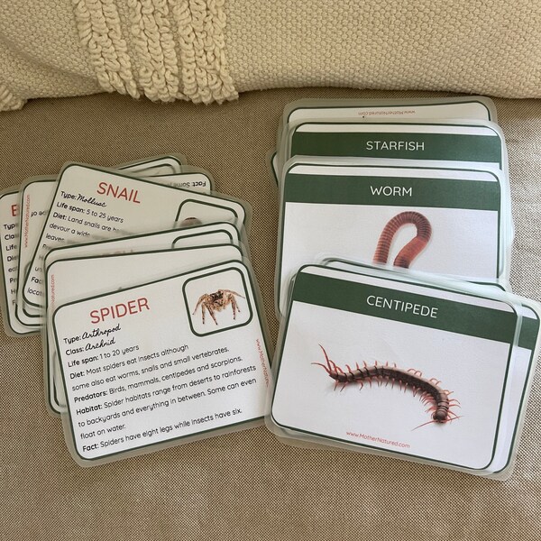 COMPOSTING Activity for Kids | Worm Compost Activity | Composting for ...