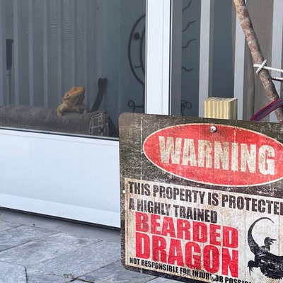 Funny Bearded Dragon Sign Pet Bearded Dragon Sign Bearded Dragon ...