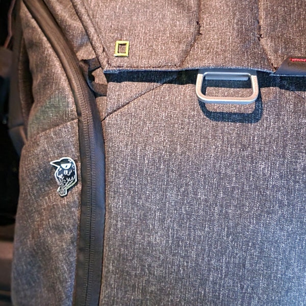 Furious Crow Cute Black Bird Hard Enamel Pin - Etsy