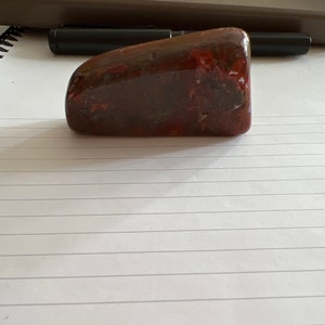 Agatized Turritella Shells - Etsy