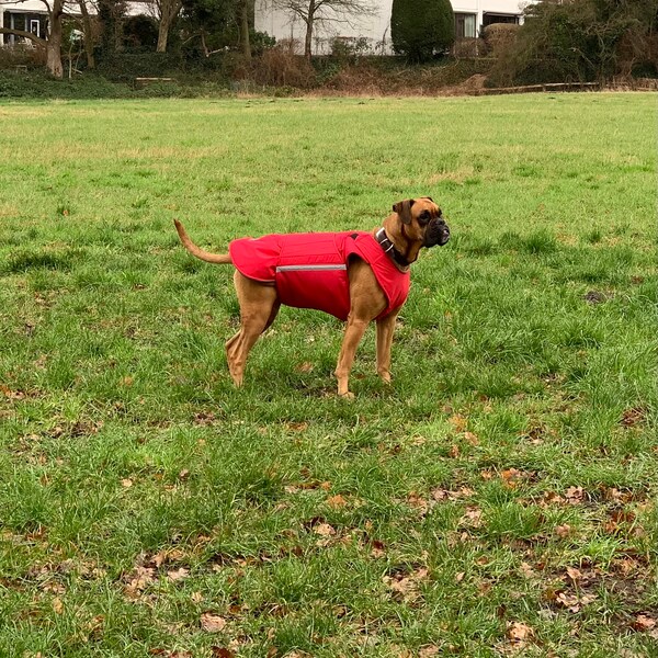 Boxer Insulated Winter Jacket – Waterproof Shell, Fleece Lining, Extra ...