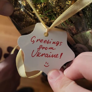 Frog Plush Dice Holder Frog Plushie Dice Bag Dnd Dice - Etsy Canada