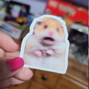 Surprised Shock Hamster Meme Funny Car Bumper Sticker Interior | Etsy