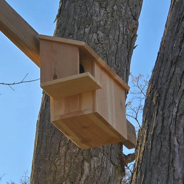 Squirrel House/nesting Box - Etsy
