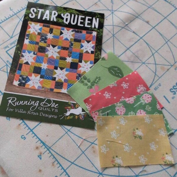 Daisy a Day Quilt Pattern - Beverly Mccullough for Flamingo Toes ...