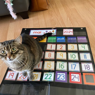 Pocket Calendar Kit for Kids Editable, Pocket Chart Cards, Classroom ...