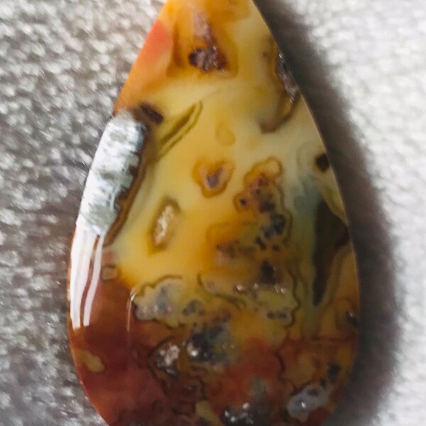 River Jasper Pair Just Like Ocean Jasper : Size 22×16×4 Mm Weight 5,6 ...