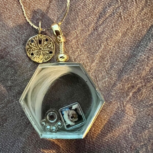 Medium Gold Fillable Locket- Choose a Shape -gold Message Locket ...