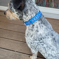 Democrat or Republican Cat and Dog Collars-red,white & Blue-the WHITE ...