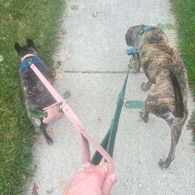 Rustic Hardware Dog Leash Leather Dog Leash Rustic Lobster Clasp Dog ...