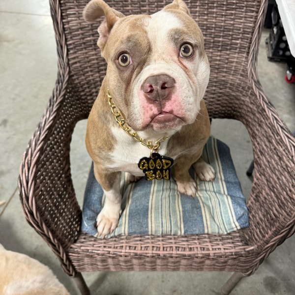 6" H X4" W LED Acrylic Trophy | Custom LED Award | Custom LED Plaque ...