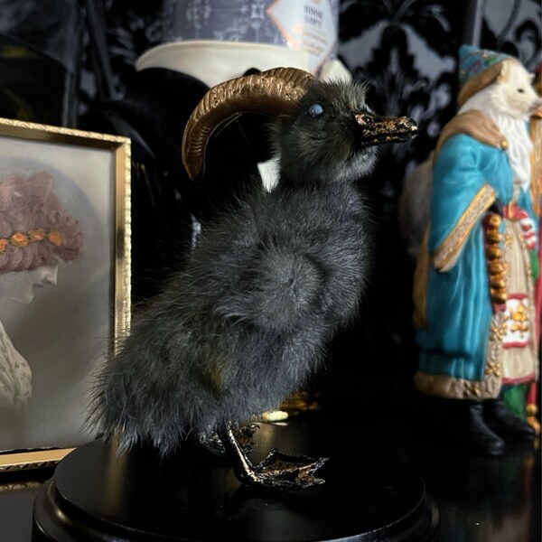 Two-headed Demon Wallaby. Taxidermy White Kangaroo. Oryginal Animal Art ...