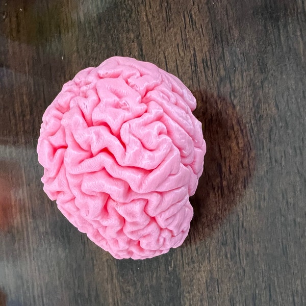 NEURON 3D MODEL | 3D Printed Brain Cell With Internal Cell Body ...