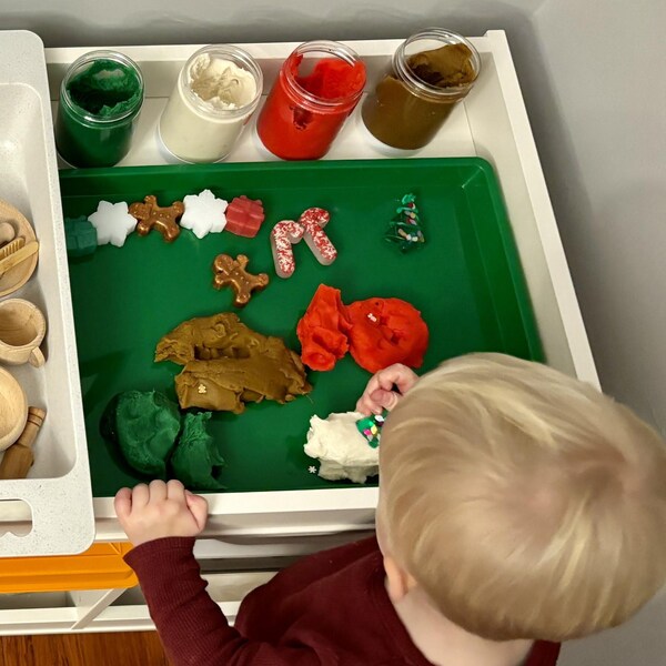 Sensory Kit Arctic Sensory Kit Polar Playdough Kit Custom Gift Toddler ...