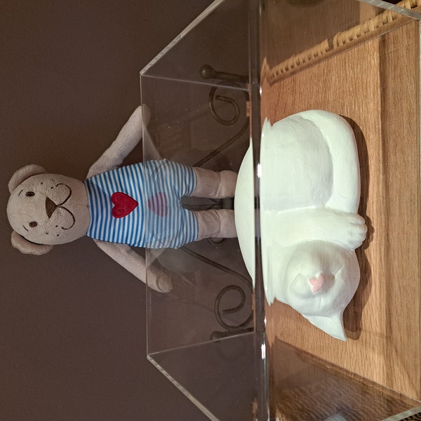 Tennis Ball Display Case With Custom Engraving - Etsy