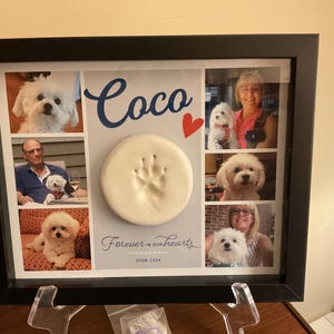Pet Memorial Paw Print Harness Holder Shadow Box, Pet Loss Frame, Clay ...