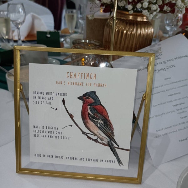 Birdwatching: Yellowhammer Identification Farm Land Blank Greetings ...