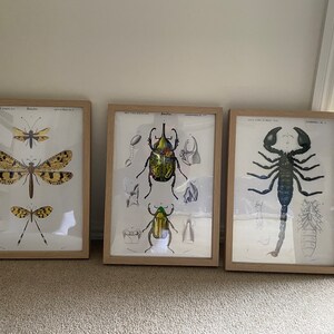 Retro Gradient Maps 200 - Etsy