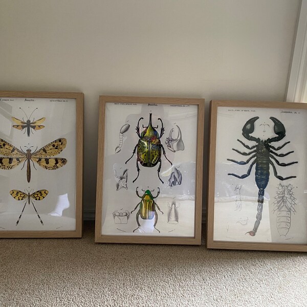 30 Coquette Watercolor Bows, Clipart, PNG, Pink Trendy, Girlie Elements ...