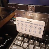 ESI Horizontal Badge Reference Cards - 2 Card Set - Etsy