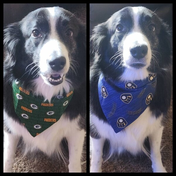 Over the Collar Reversible Dog Bandana - Wisconsin Badgers, Milwaukee ...