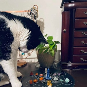 Raphael 151 Initiation | Etsy